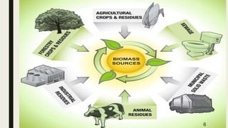 BIOMASS FUELED POWER PLANT | PPTX