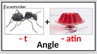 Week_1_(Triangle_Inequality-Exterior_Angle_Theorem).pptx