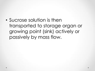 Sinksource relationship | PPTX