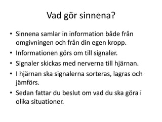 Sinnena | PPT