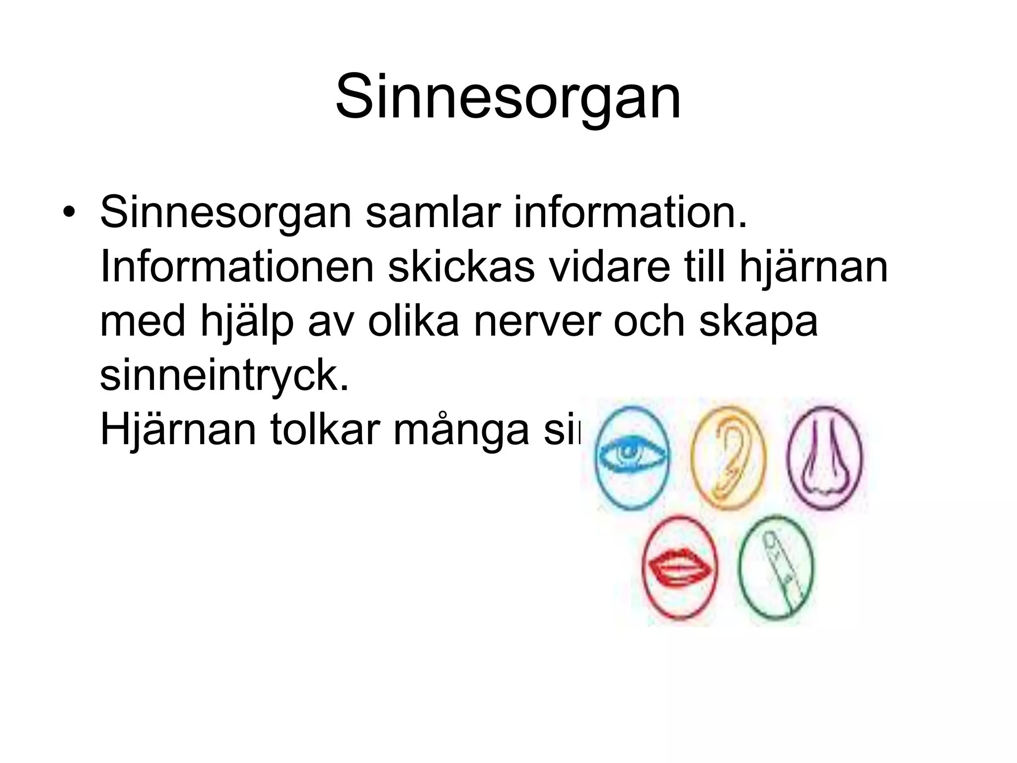 Sinnesorgan. och hormoner | PPT