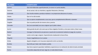 Clasificación de los sinónimos en ppt.pptx