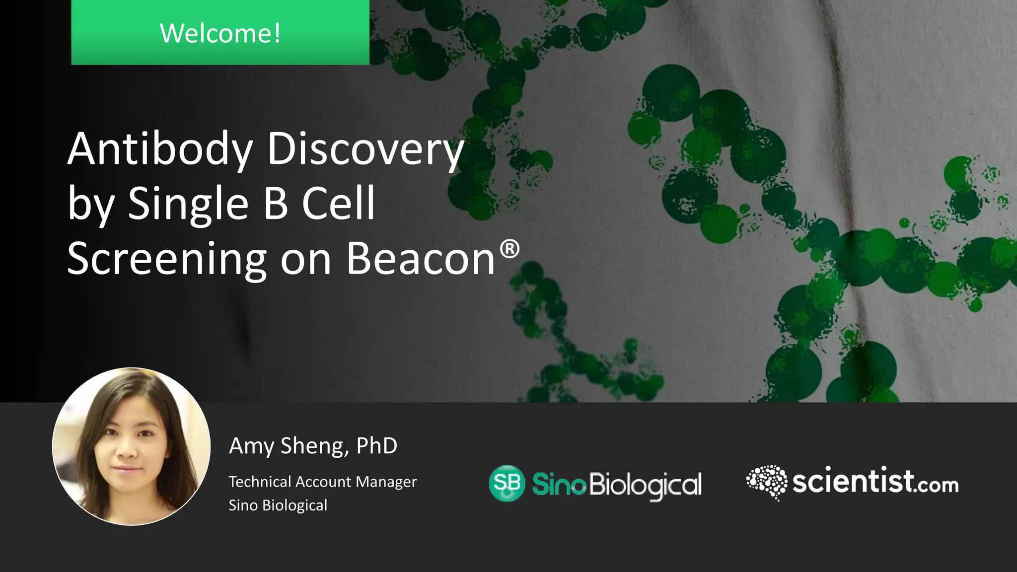 Antibody Discovery by Single B Cell Screening on Beacon® | PDF