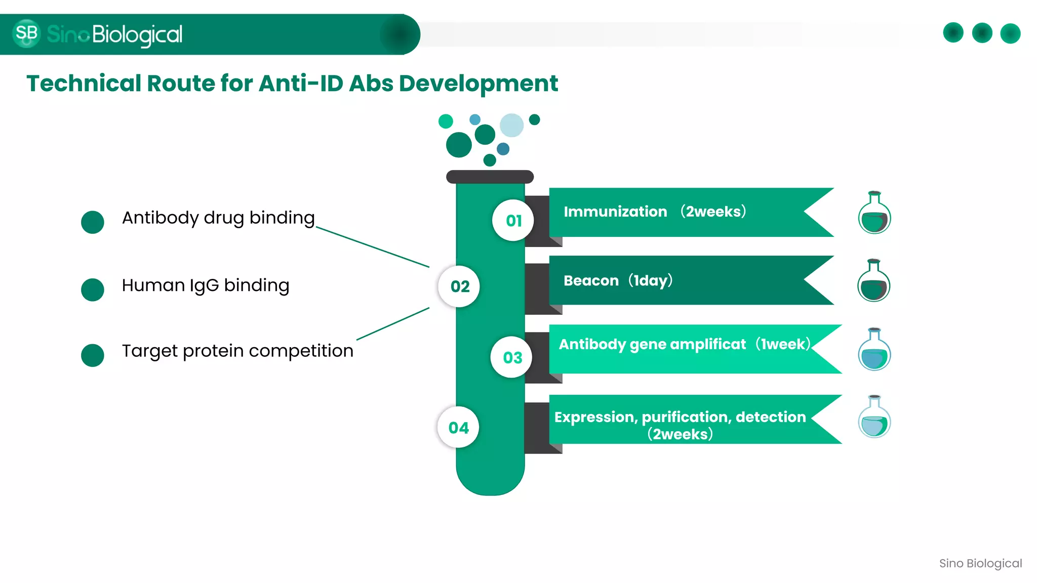 Antibody Discovery by Single B Cell Screening on Beacon® | PDF