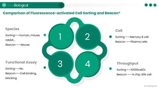 Antibody Discovery by Single B Cell Screening on Beacon® | PDF