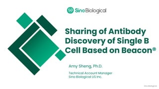 Antibody Discovery by Single B Cell Screening on Beacon® | PDF