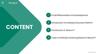 Antibody Discovery by Single B Cell Screening on Beacon® | PDF