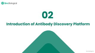 Antibody Discovery by Single B Cell Screening on Beacon® | PDF