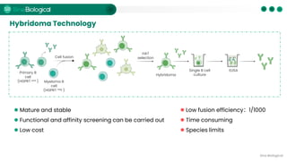 Antibody Discovery by Single B Cell Screening on Beacon® | PDF