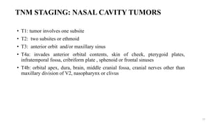 Sinonasal tumors dr rk | PPTX