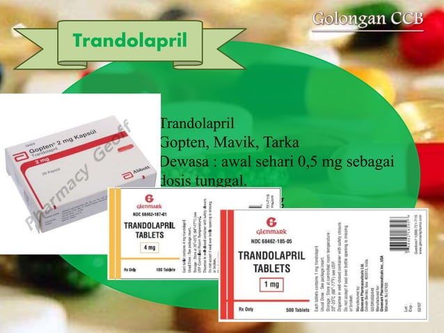 antihipertensi gololongan calcium channel blocker | PPTX