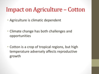 Cotton Breeding Program in Climate Change Scenario: Challenges and ...