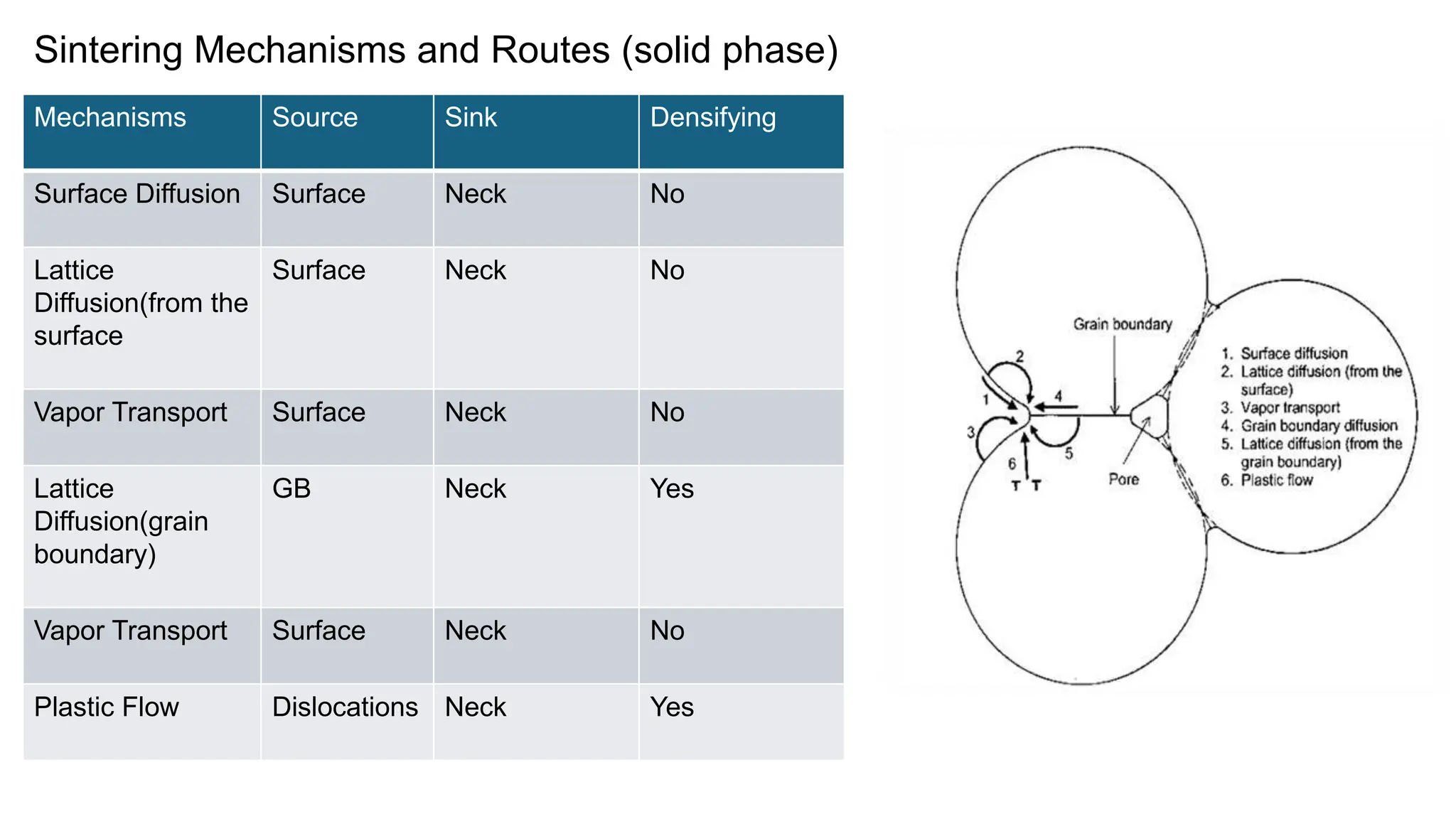 SinteringAndMicrostructure_DibyadyutiKar.pptx | Chemistry | Science