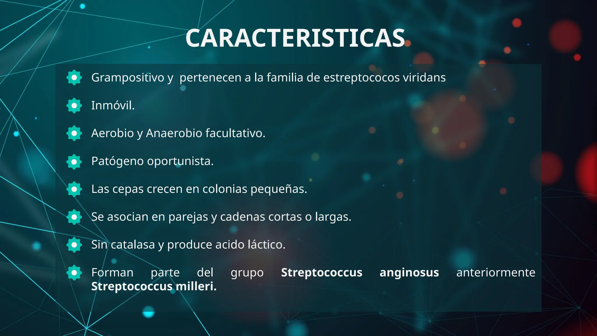 Streptococcus intermedius-presentación y explicación | PPT