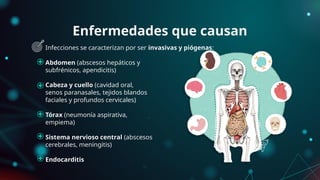Streptococcus intermedius-presentación y explicación | PPTX