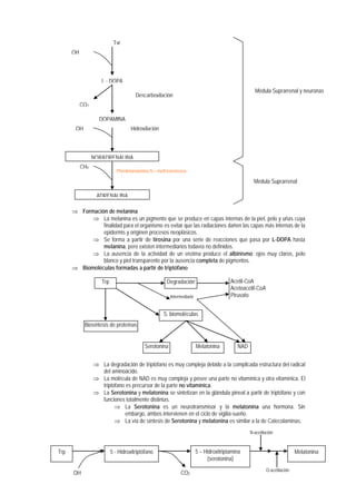 Sintesis de aminoacidos | PDF