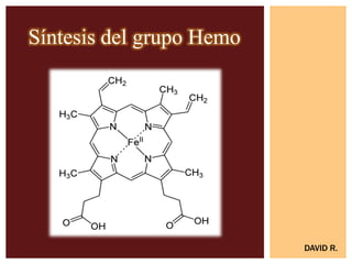 Sintesis del grupo hemo | PDF