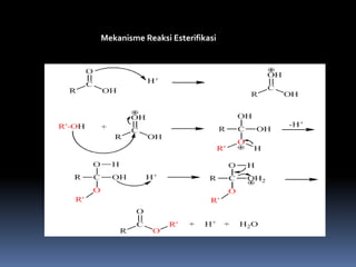 Sintesis etil asetat | PPTX