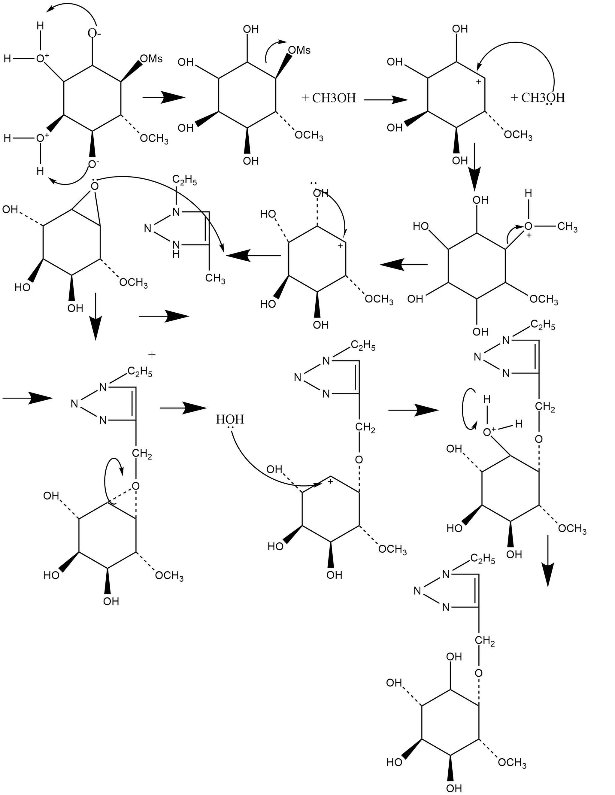 Sintesis beta glucosidase | DOC