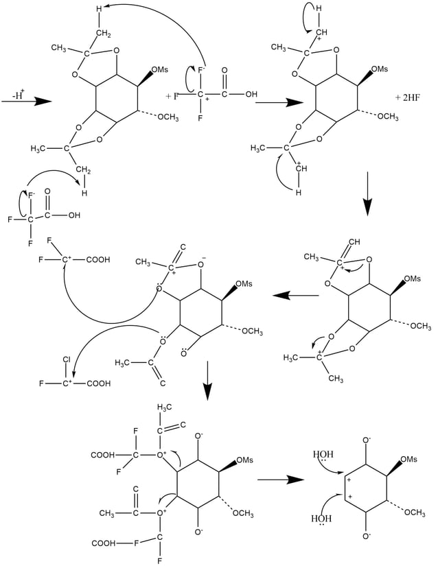 Sintesis beta glucosidase | DOC