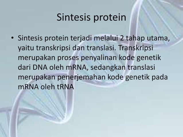 Sintesis protein | PPTX