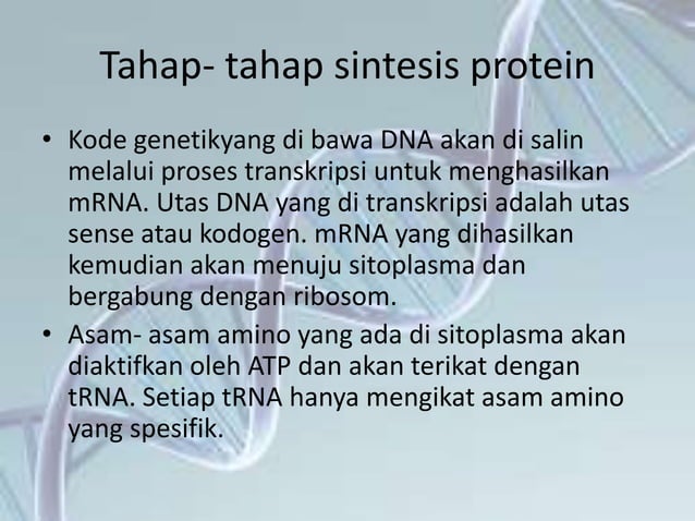 Sintesis protein | PPTX