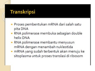 Sintesis protein | PPTX