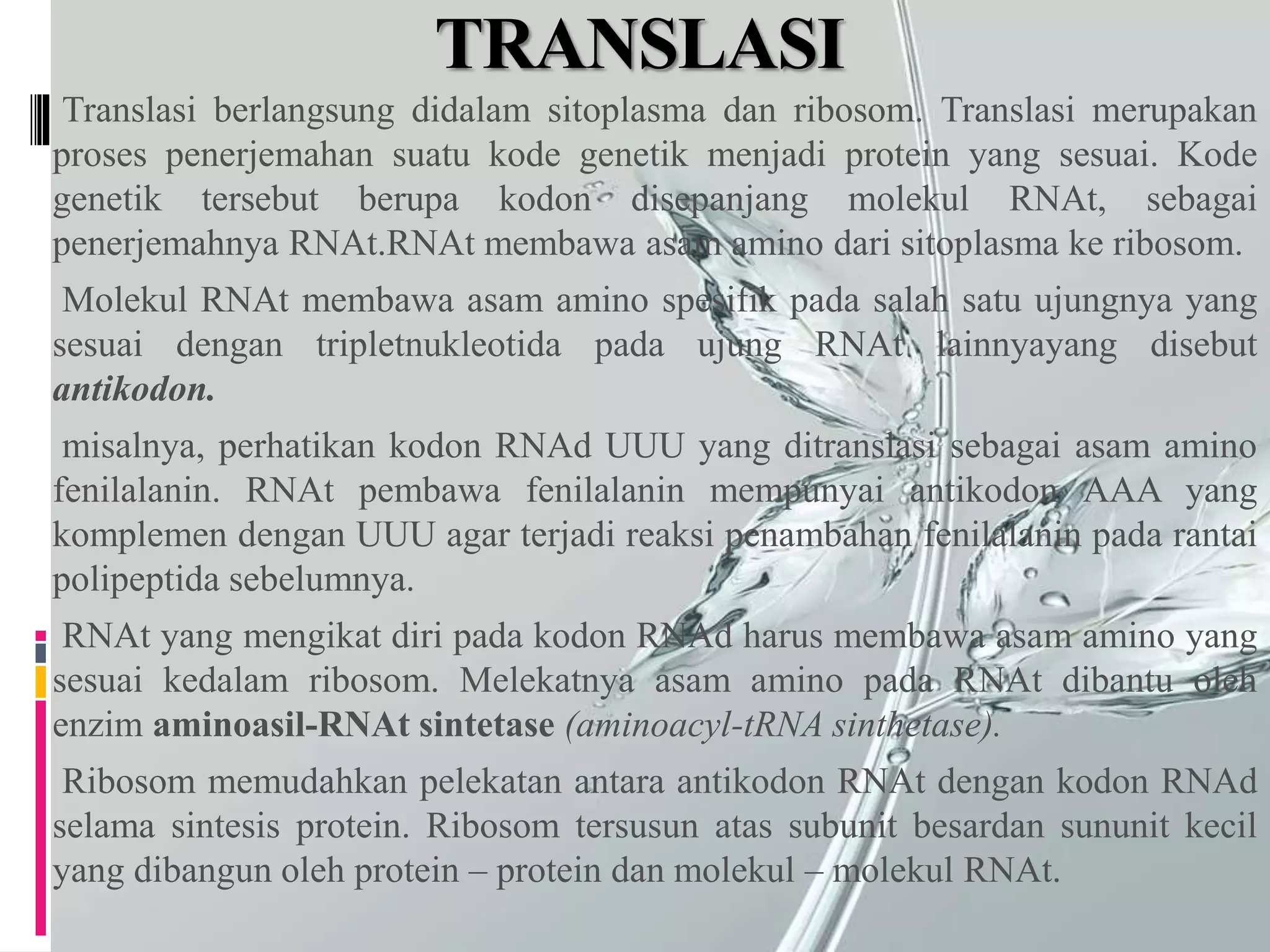 Sintesis protein | PPTX