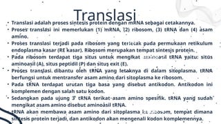 SINTESIS PROTEIN, jenis protein, stuktur protein | PPTX