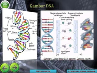 Sintesis protein | PPTX
