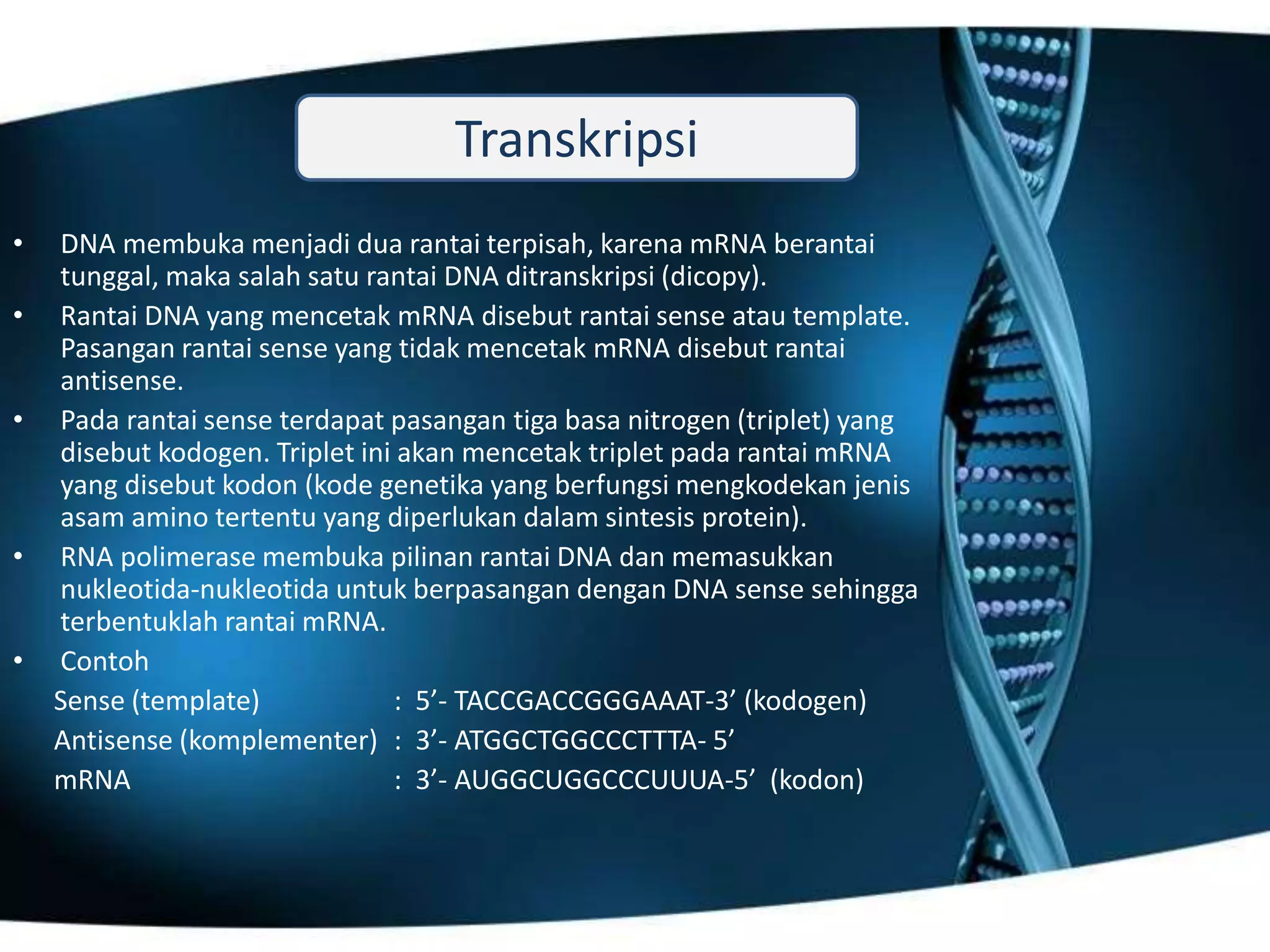 Sintesis_Protein_Kelas_XII_IPA.pptx