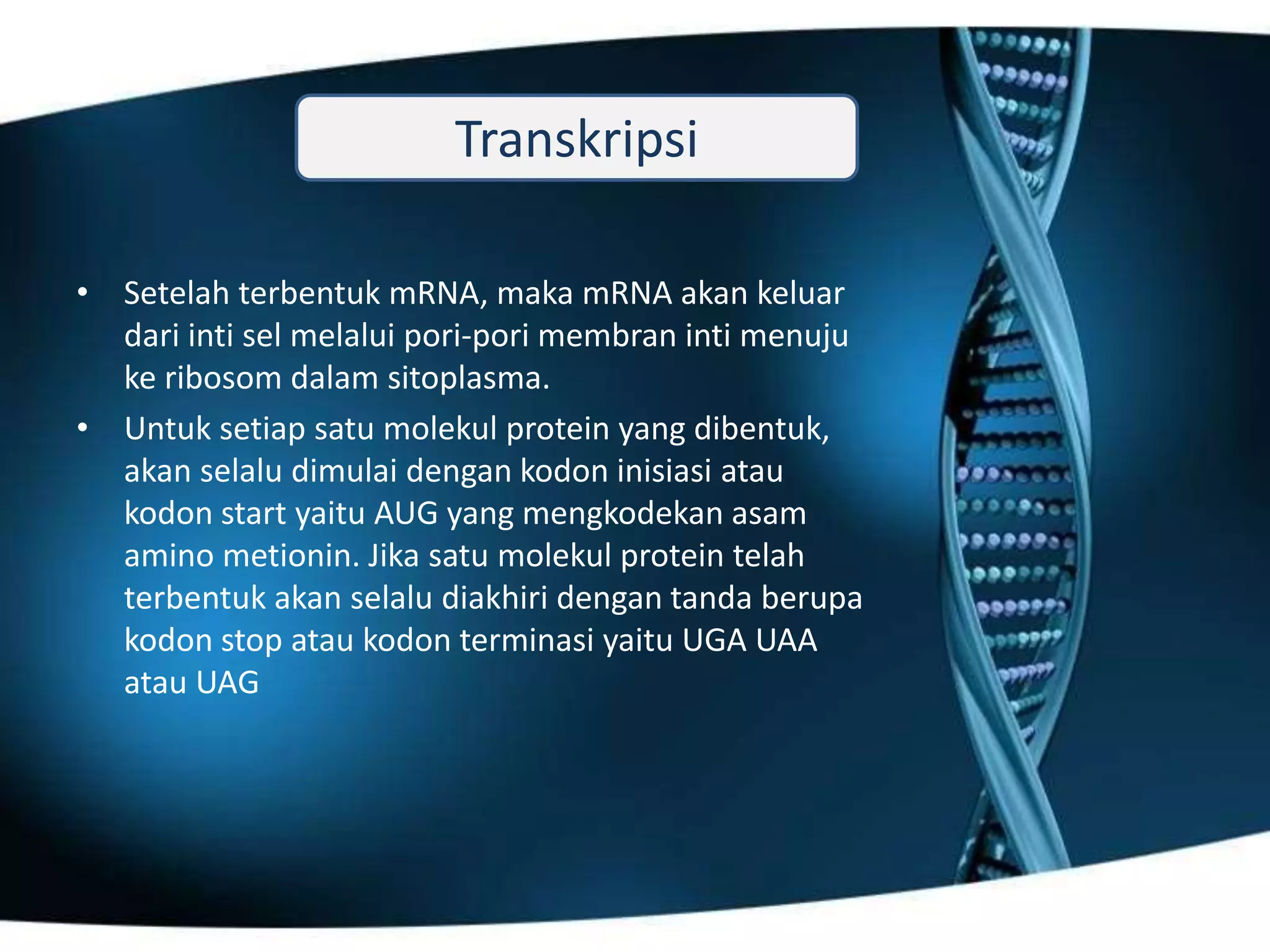 Sintesis_Protein_Kelas_XII_IPA.pptx