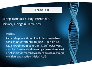 Sintesis_Protein_Kelas_XII_IPA.pptx