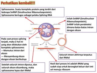 Sintesis protein lanjutan | PPTX