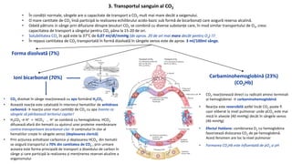 sinteza_fiziologia_sistemului respirator | PPT