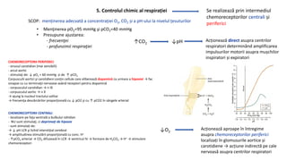 sinteza_fiziologia_sistemului respirator | PPT