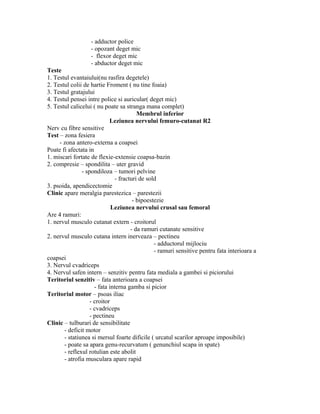 Sinteză neurologie | DOC