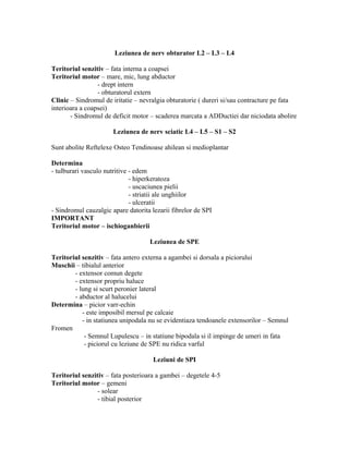 Sinteză neurologie | DOC