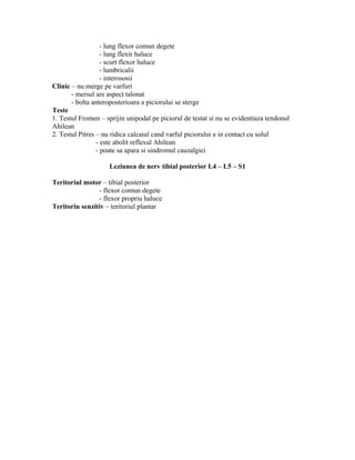 Sinteză neurologie | DOC