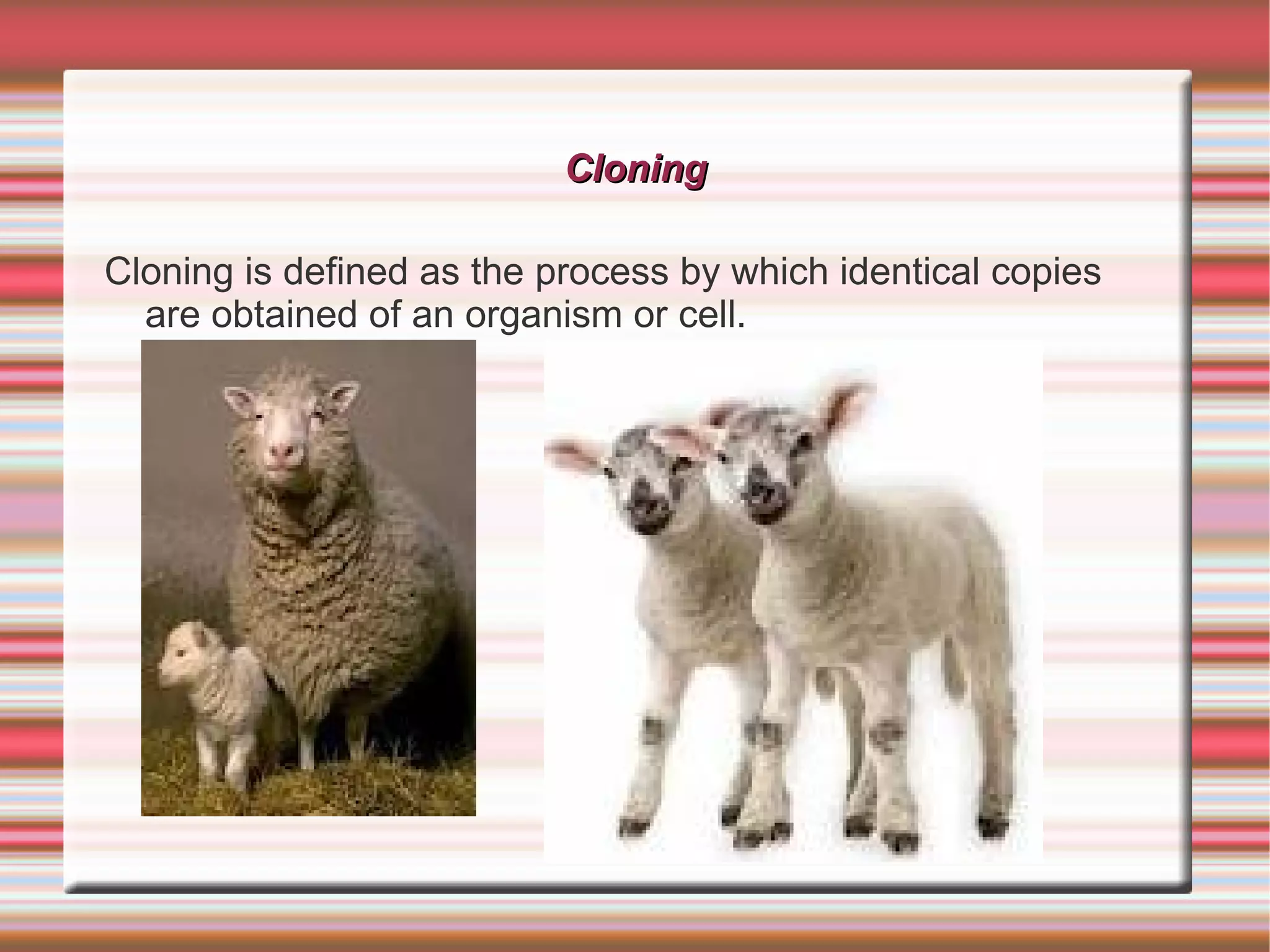 cloning | PPT