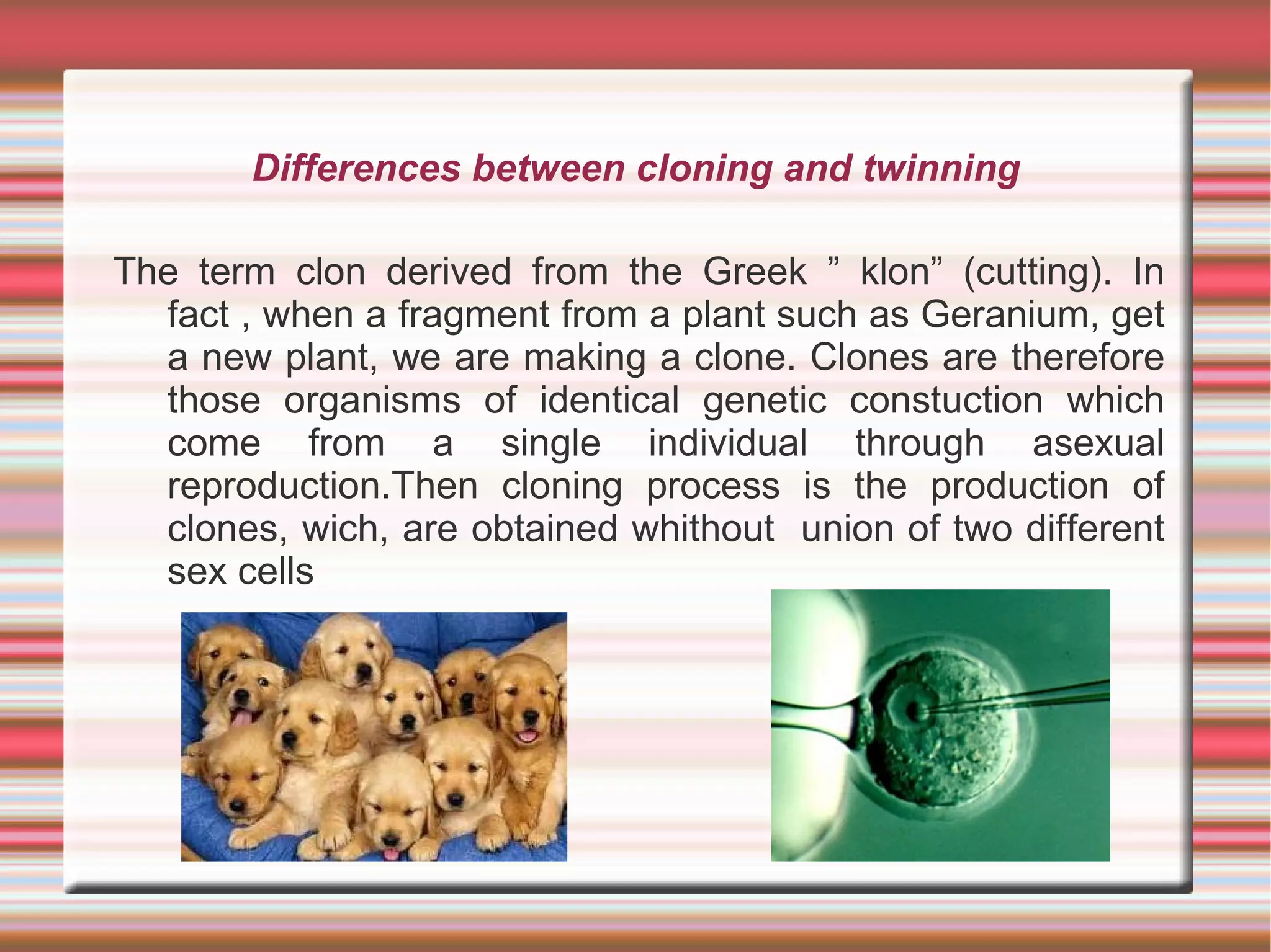 cloning | PPT