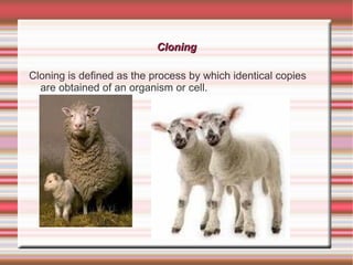 cloning | PPT