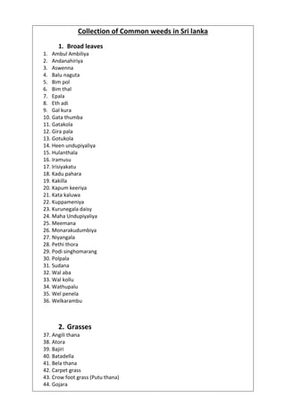 Introduction to Weed Album | PDF