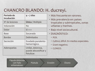 Manifestaciones cutáneas de las infecciones de transmisión sexual | PPTX
