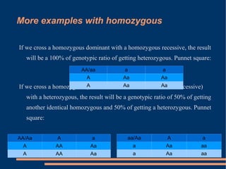 Homozygous | ODP