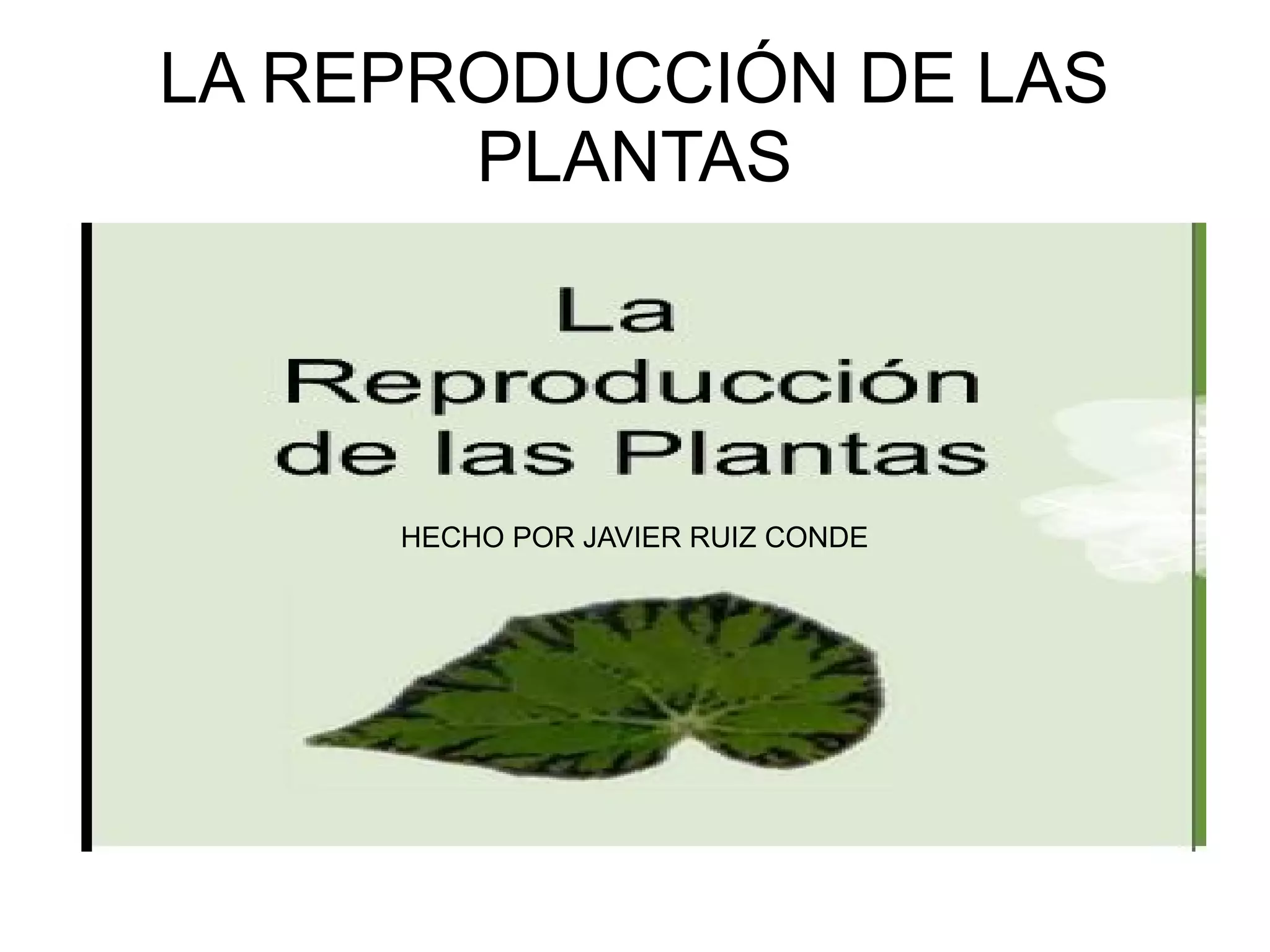 La reproducción de las plantas 6º. | PPT
