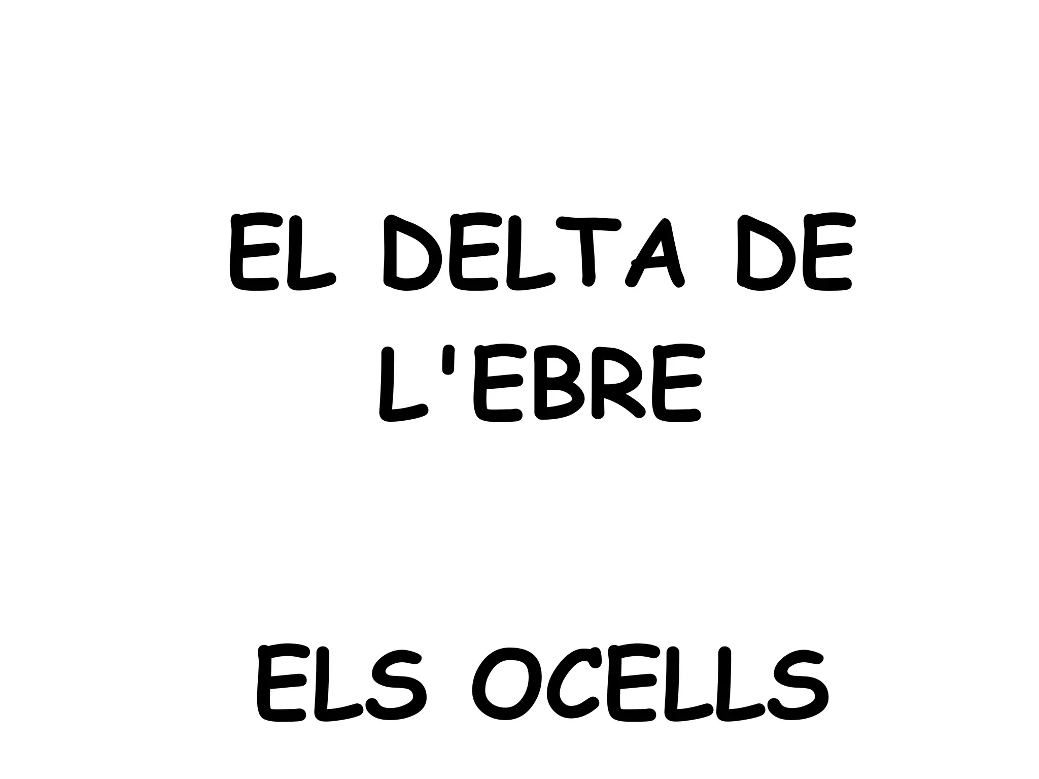 Ocells del Delta de l'Ebre | ODP