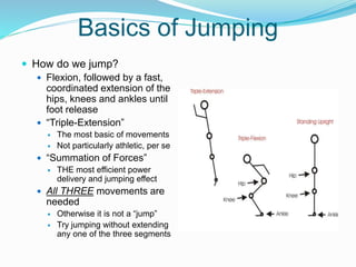 Analysis of the Long Jump Takeoff & Landing | PPTX