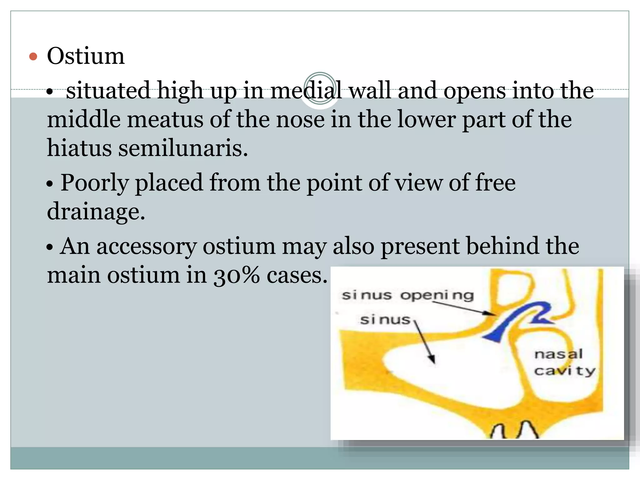 Sinus Lift with implant placement-surgical approach | PPTX