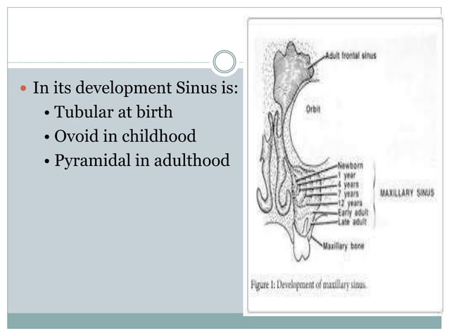 Sinus Lift with implant placement-surgical approach | PPTX